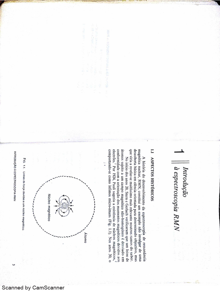 Cap 1 Livro RMN Gil e Geraldes | PDF