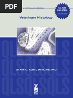 REMEDIAL BIOLOGY 2nd Semester QUESTIONS | PDF | Dominance (Genetics ...