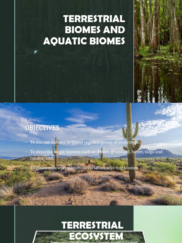 Terrestrial Biomes and Aquatic Biomes | PDF | Wetland | Forests