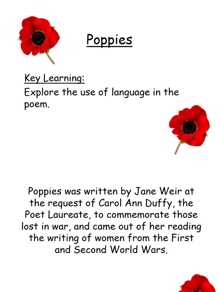 Mother’s Remembrance in "Poppies" | PDF | Poetry