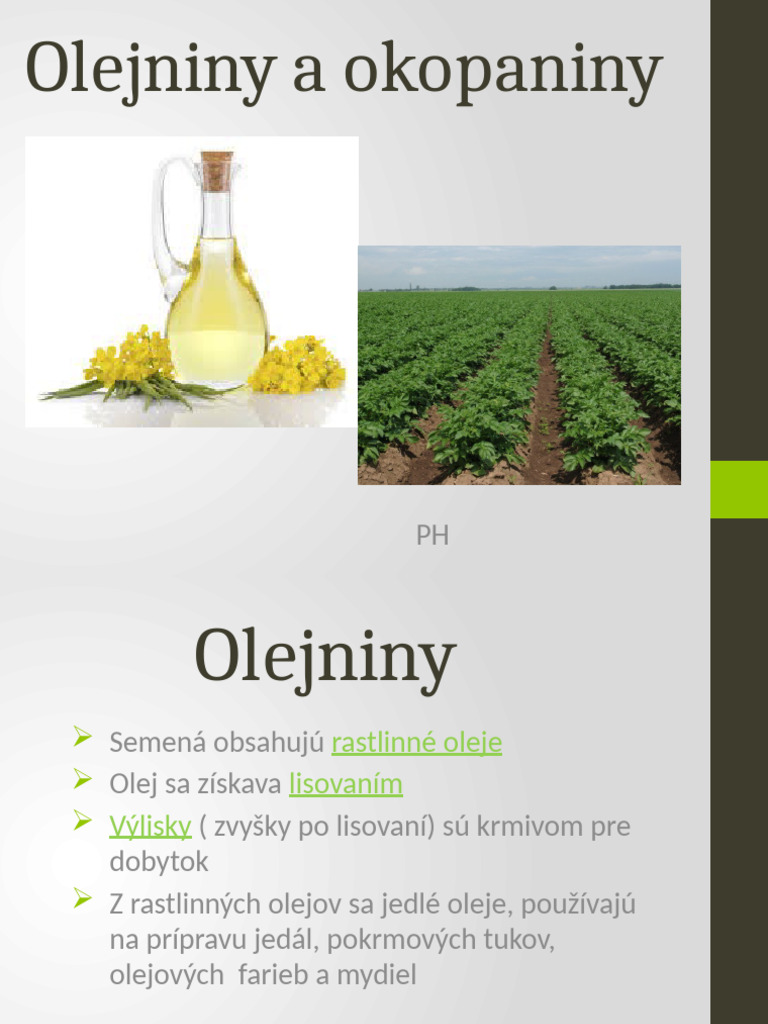 Olejniny a okopaniny | PDF