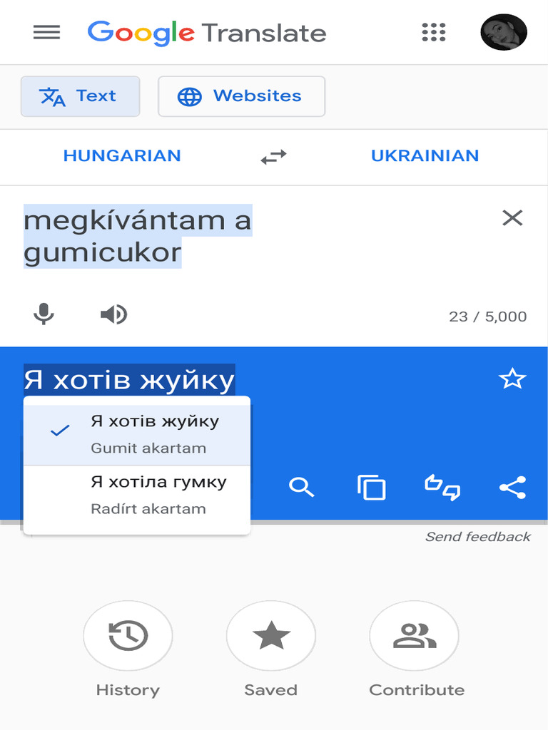 Google Translate | PDF