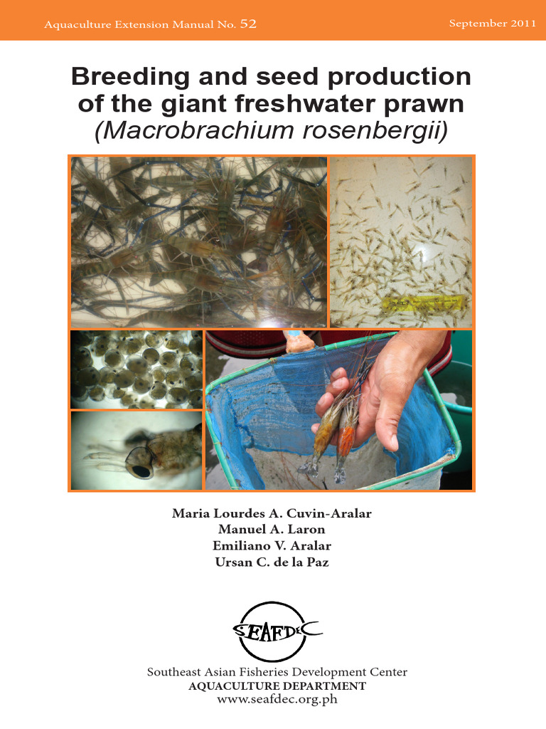 SEAFDEC Breeding and Seed Production of fresh Water Prawn | PDF ...