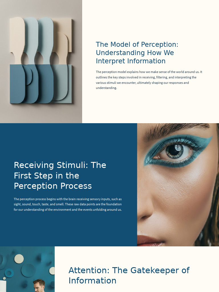 The-Model-of-Perception-Understanding-How-We-Interpret-Information ...