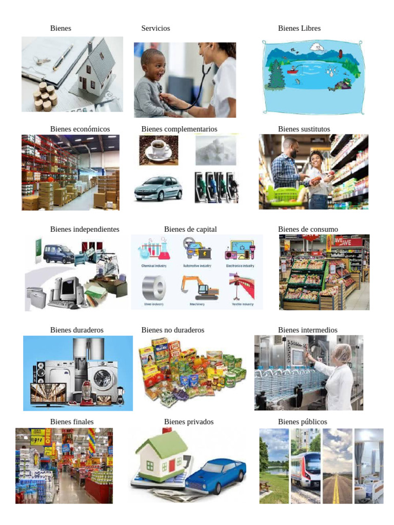 Tipos de Bienes y Contabilidad | PDF