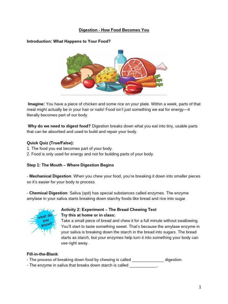 Understanding Food Digestion Process | PDF | Digestion | Stomach