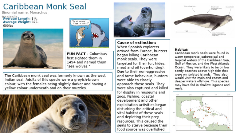 Bio case study | PDF | Pinniped