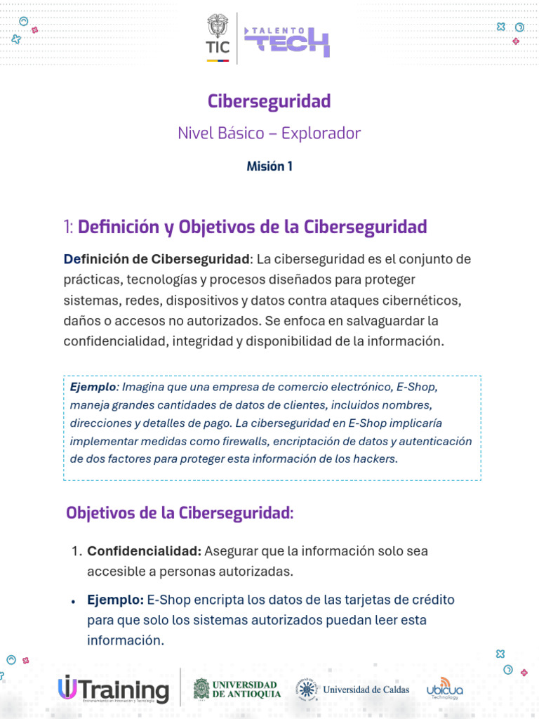 Definicion y Objetivos de La Ciberseguridad | PDF