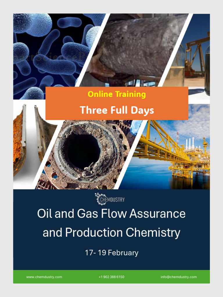 Oil and Gas Flow Assurance and Production Chemistry | PDF | Petroleum ...