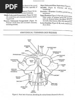 PERNKOPF Atlas de Anatomía Humana Aplicada y Topográfica Tomo 1 2a Ed ...