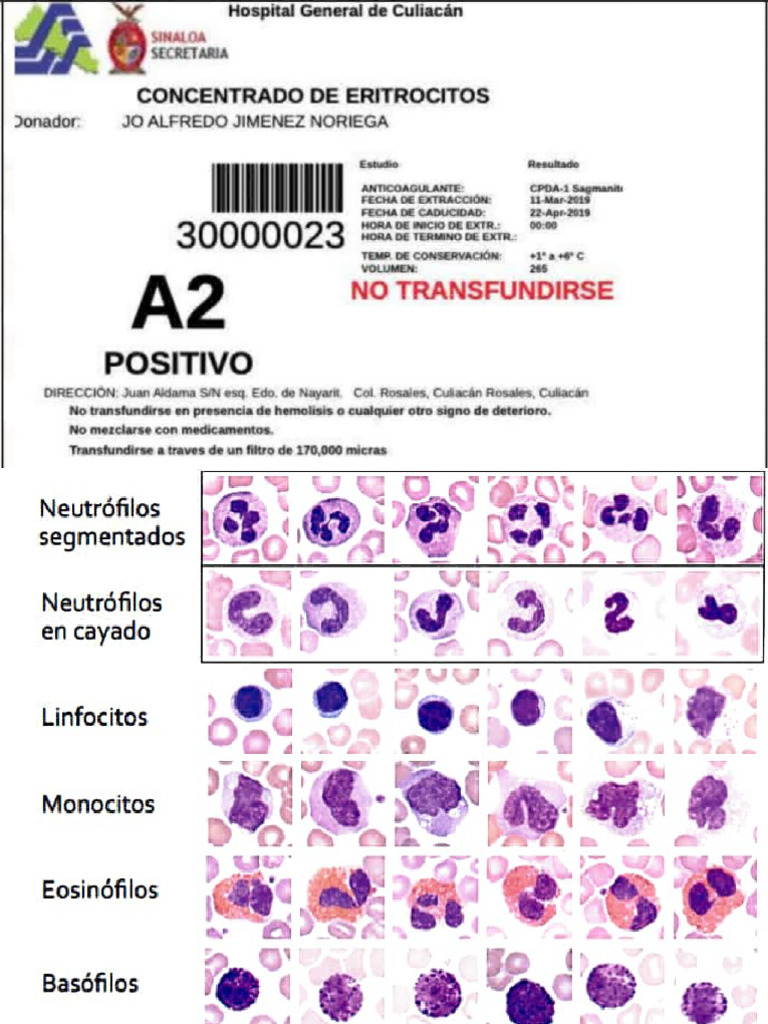 Adobe Scan 03 Sept 2024 | PDF