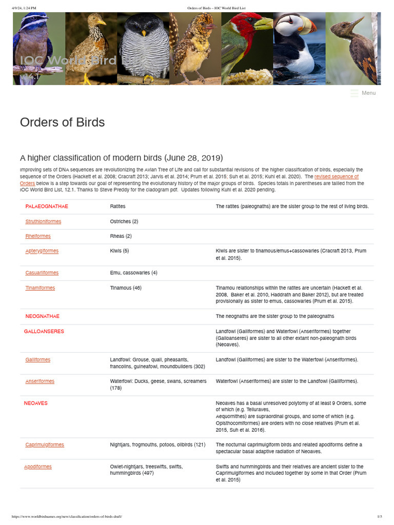 Orders of Birds – IOC World Bird List | PDF | Seabird | Galliformes