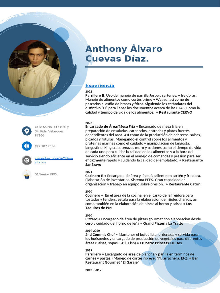 CV Anthony Cuevas (2022) | PDF | Estufa de cocina | Alimentos