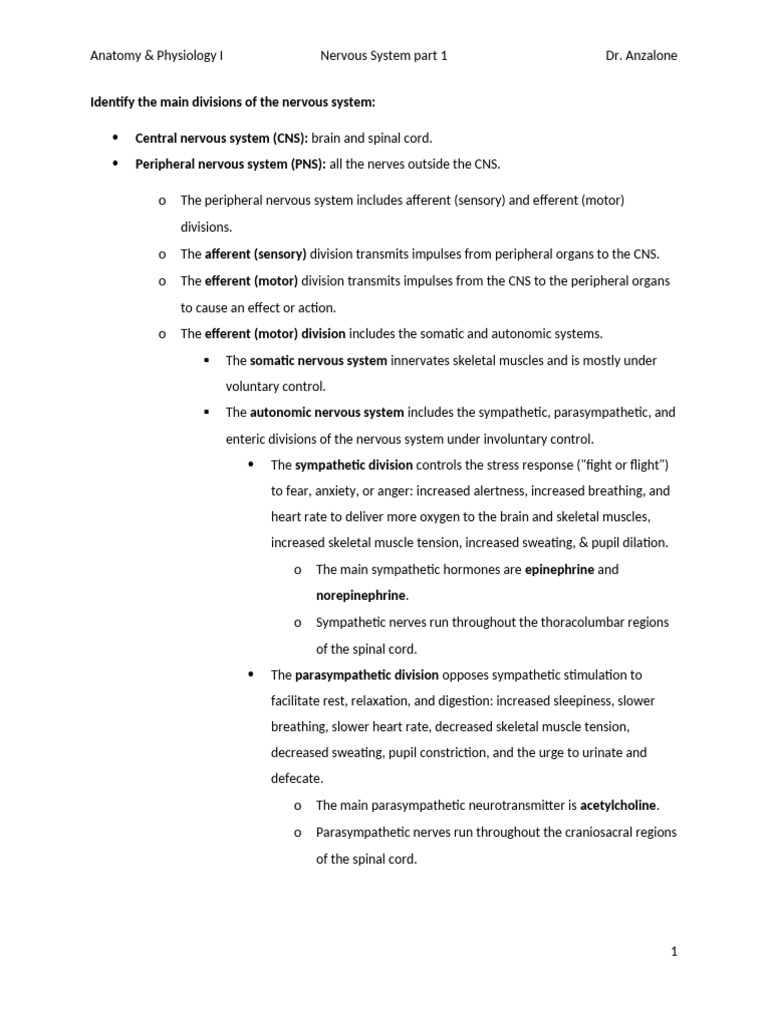 Neurons Action Potentials Lecture Notes | PDF | Action Potential ...