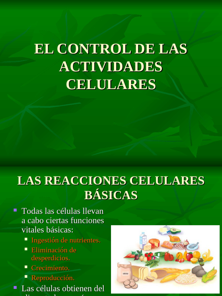 Control Actividades Celulares | PDF | Enzima | Trifosfato de adenosina