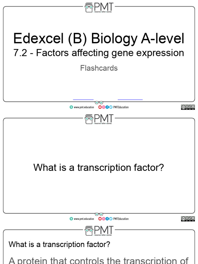 Gene Expression Factors Explained | PDF | Gene Expression | Epigenetics