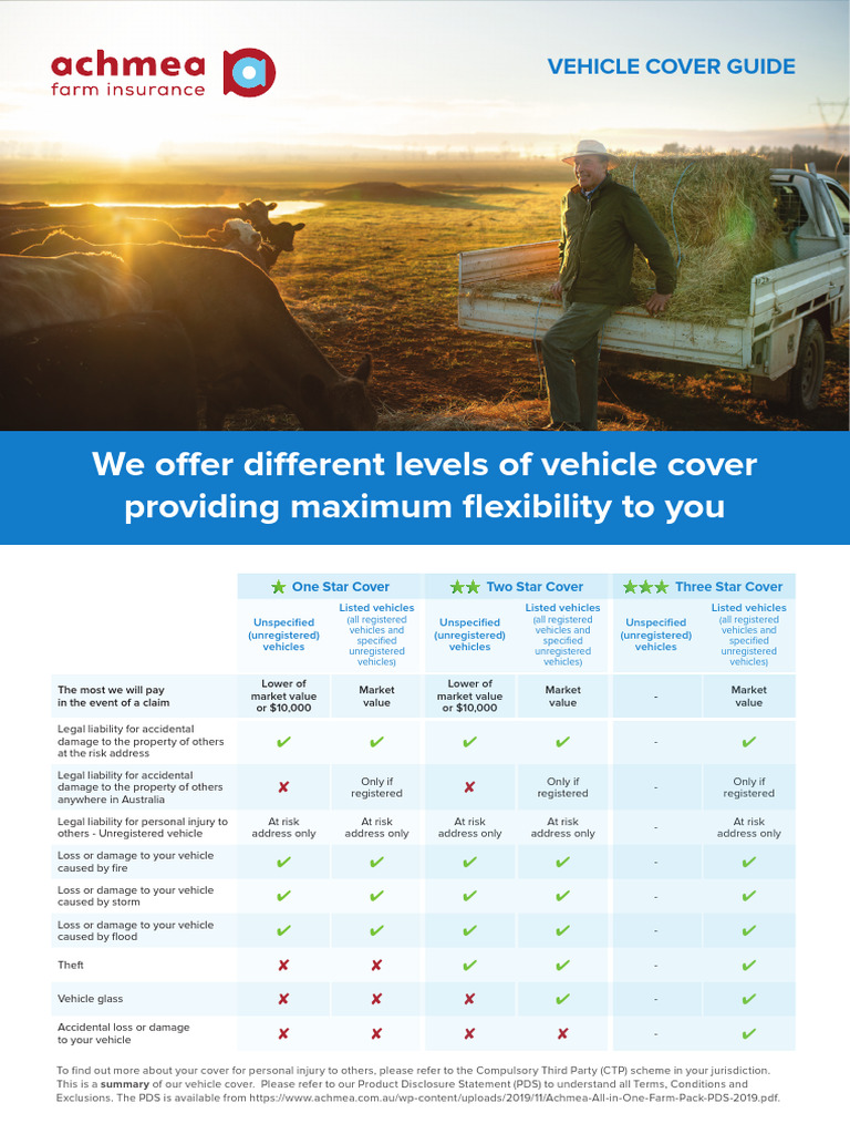 Vehicle Insurance Options Guide | PDF | Vehicle Insurance | Business Law