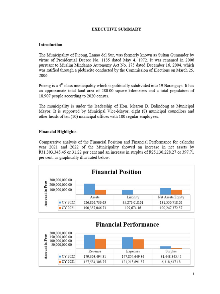 Picong Municipality Financial Audit Report | PDF | Book Value | Debits ...