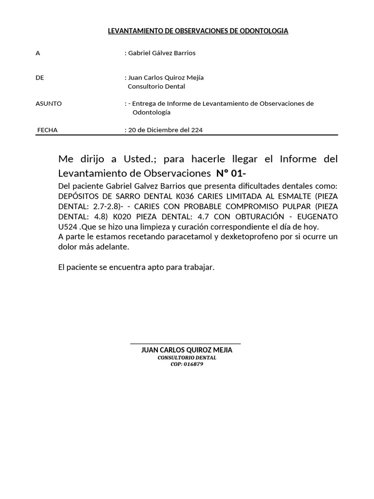 Informe Levantamiento de Observaciones | PDF