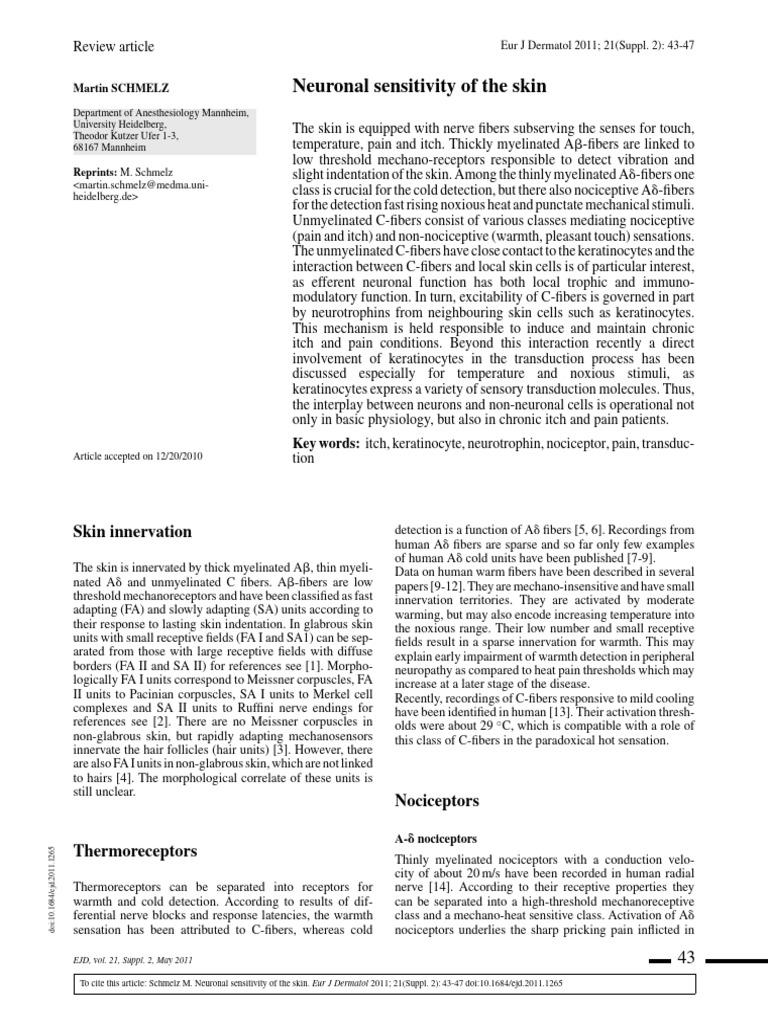 Neuronal-sensitivity-of-the-skin | PDF | Axon | Stimulus (Physiology)