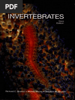 Think Level 1 Students Book | PDF