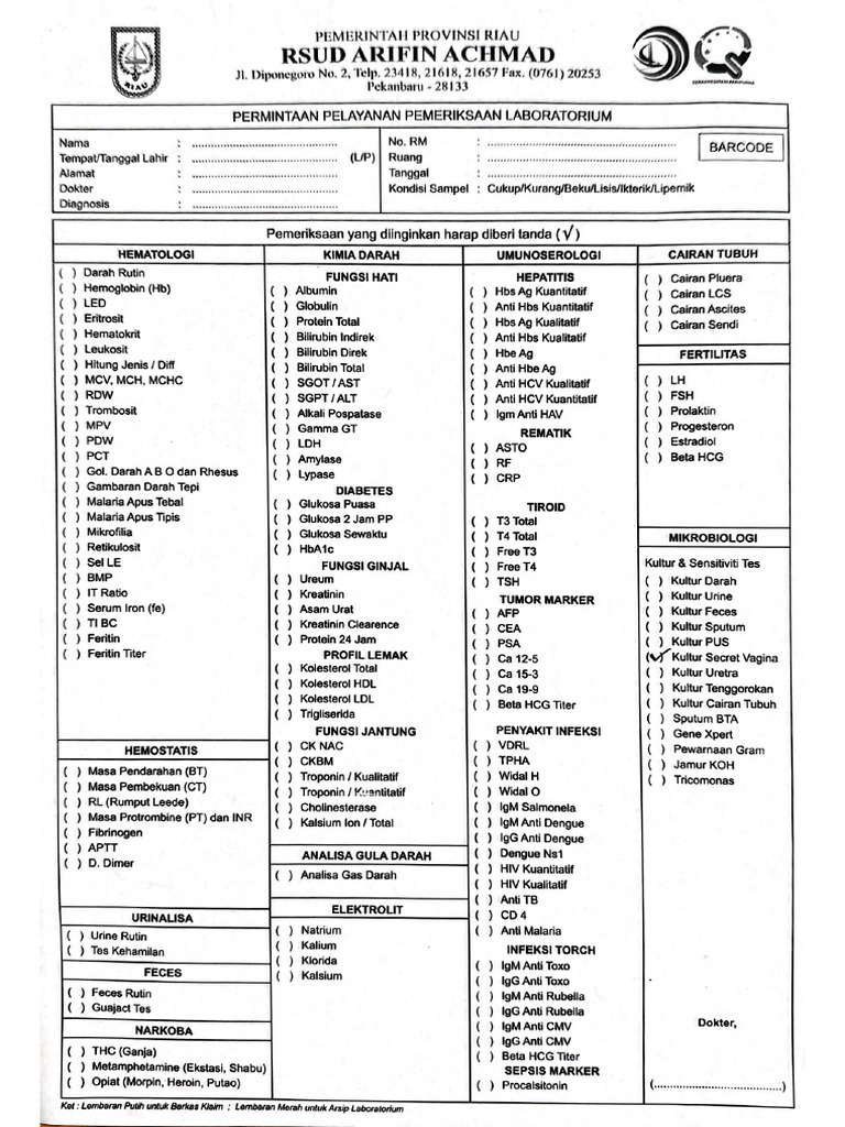 Document 050225 | PDF