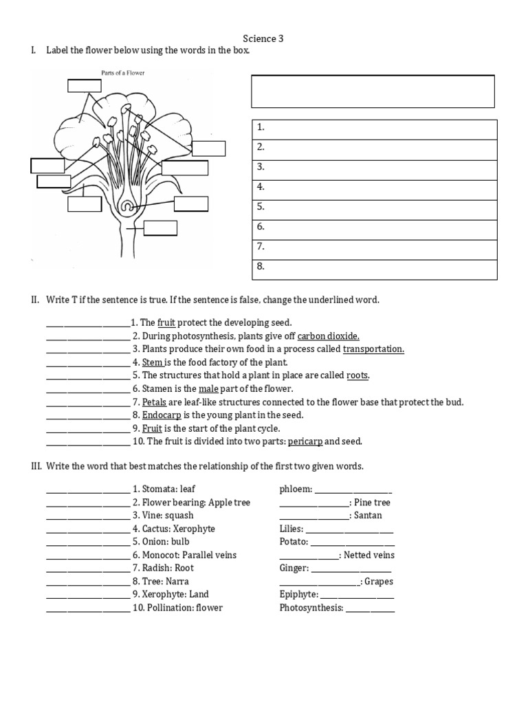 Plant and Animal Classification Quiz | PDF | Flowers | Fruit