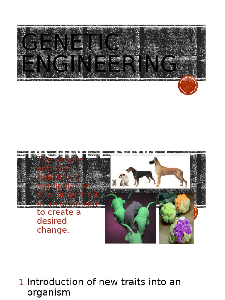 Genetic Engineering | PDF | Molecular Cloning | Genetic Engineering
