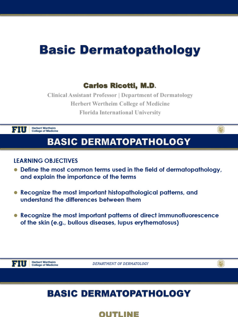 01.02.24 MON Basic Dermatopathology. Dr. RICOTTI 2 | PDF | Epidermis | Skin