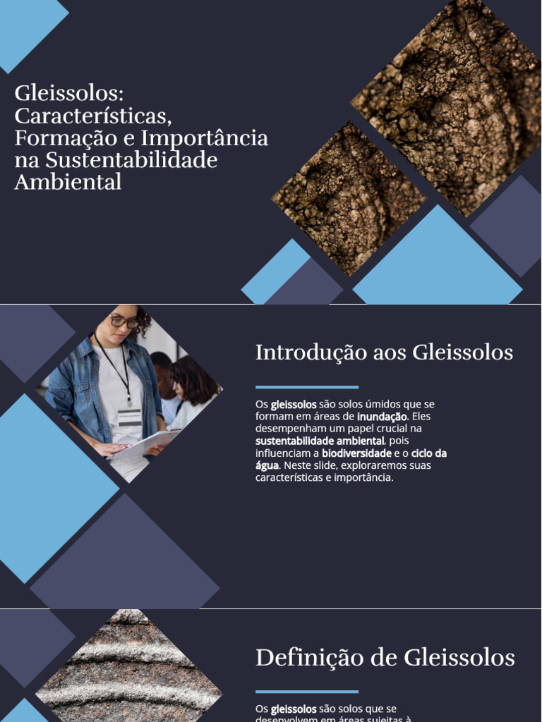 Wepik Gleissolos Caracteristicas Formacao e Importancia Na ...