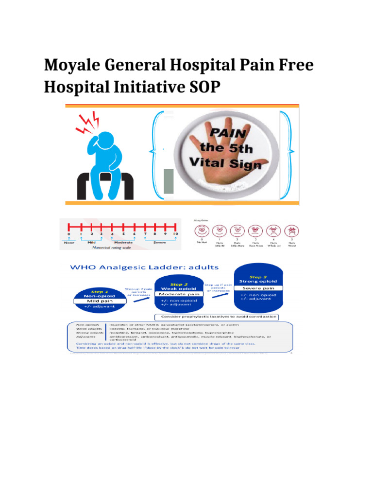 PPV-MH Pain Management Protocol 2017 | PDF | Pain Management | Pain