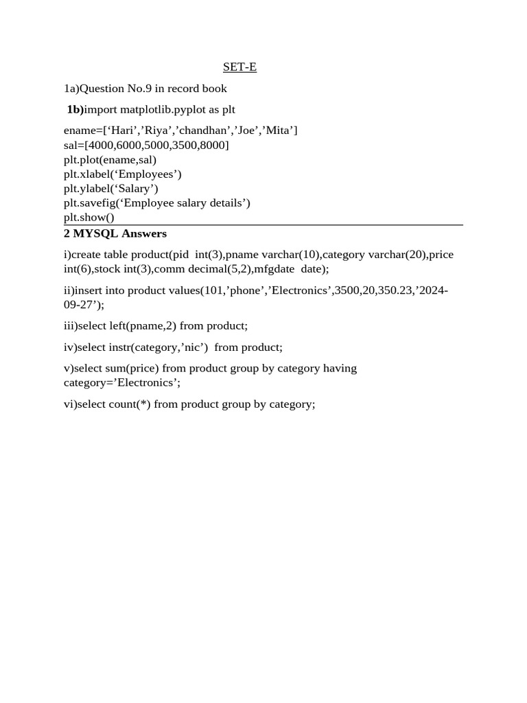 Ip Practical Exam Set-E Answer Key | PDF