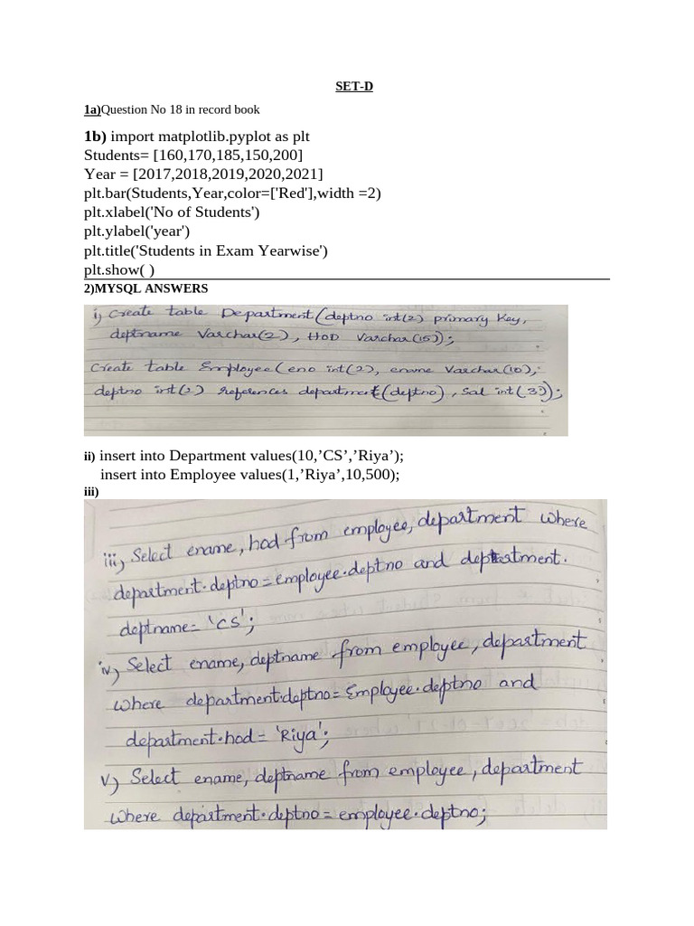 Ip Pratical Exam Set - D Answer Key | PDF