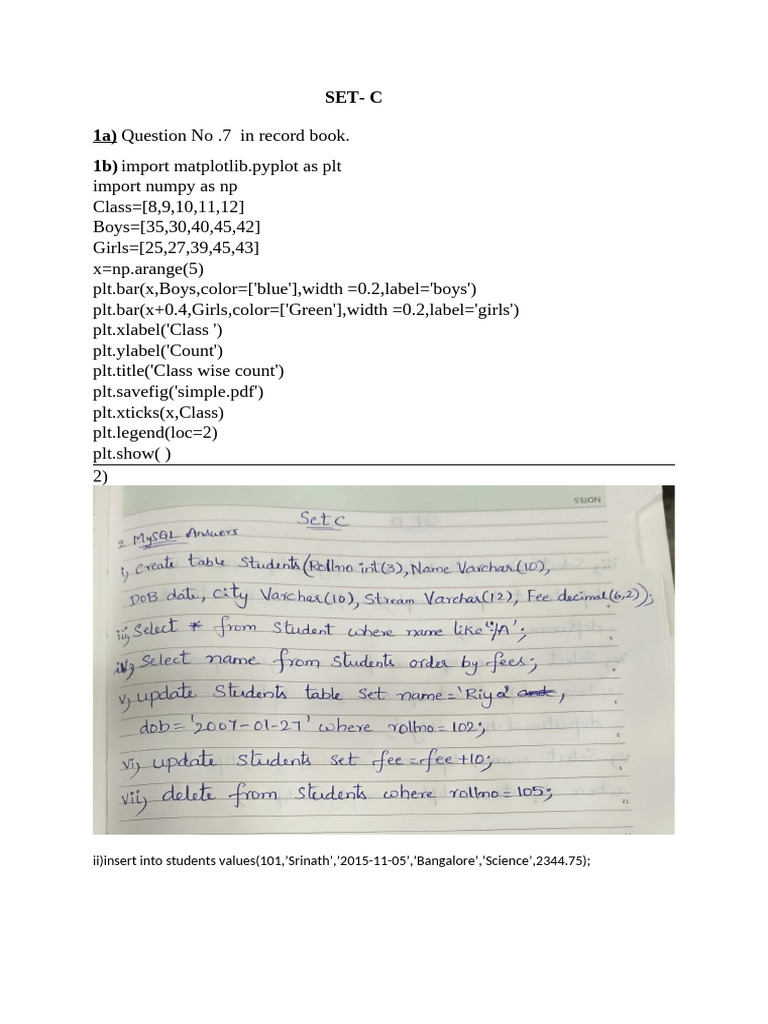 Ip Practical Exam Set-C Answer Key | PDF