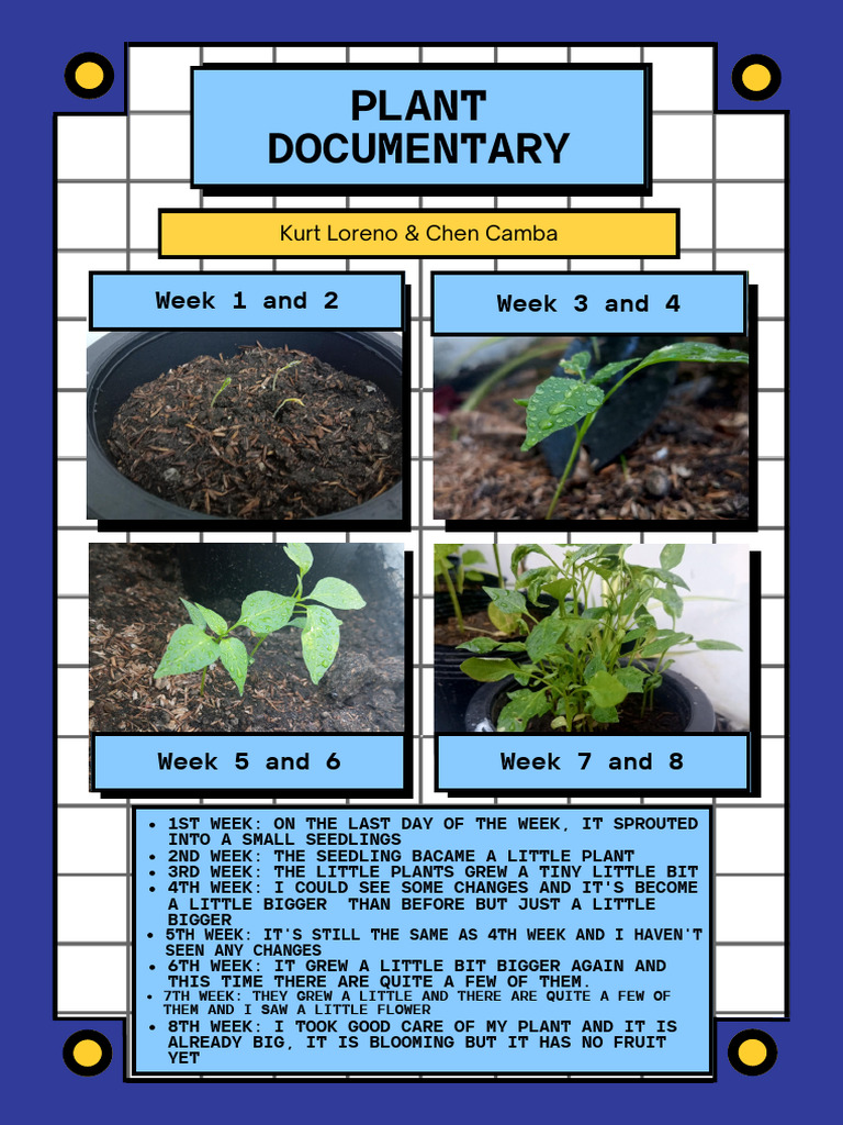 What Is Mutation Science Poster in Dark Blue White Lined Style | PDF