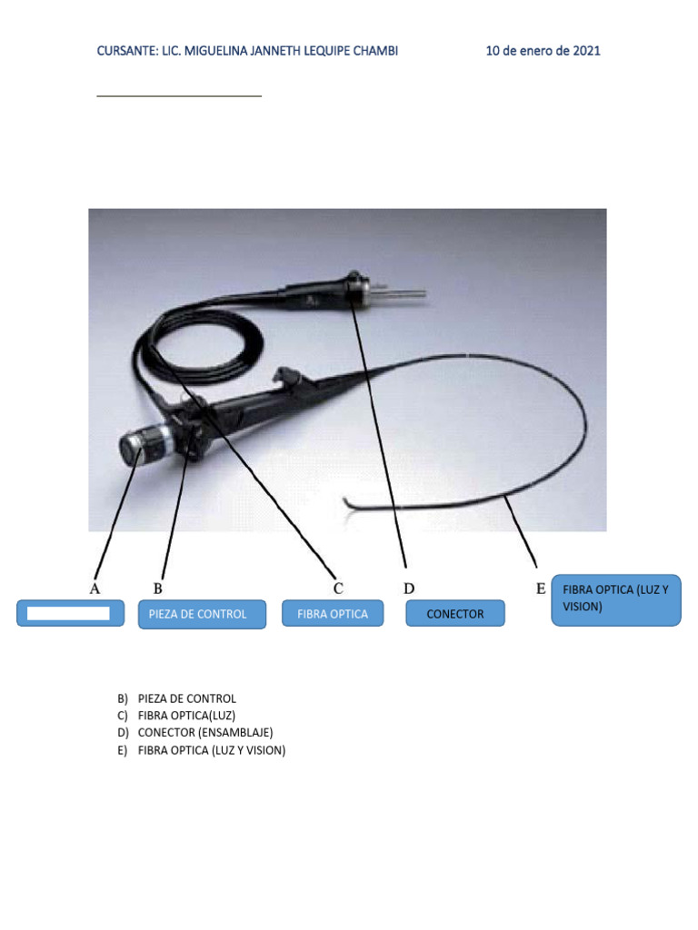 Broncoscopio Flexible | PDF