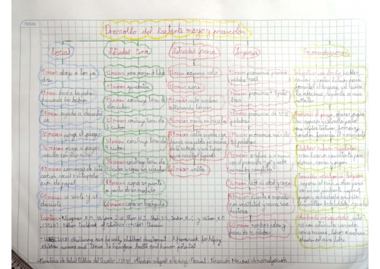 Desarrollo Del Lactante Mayor y Preescolar | PDF