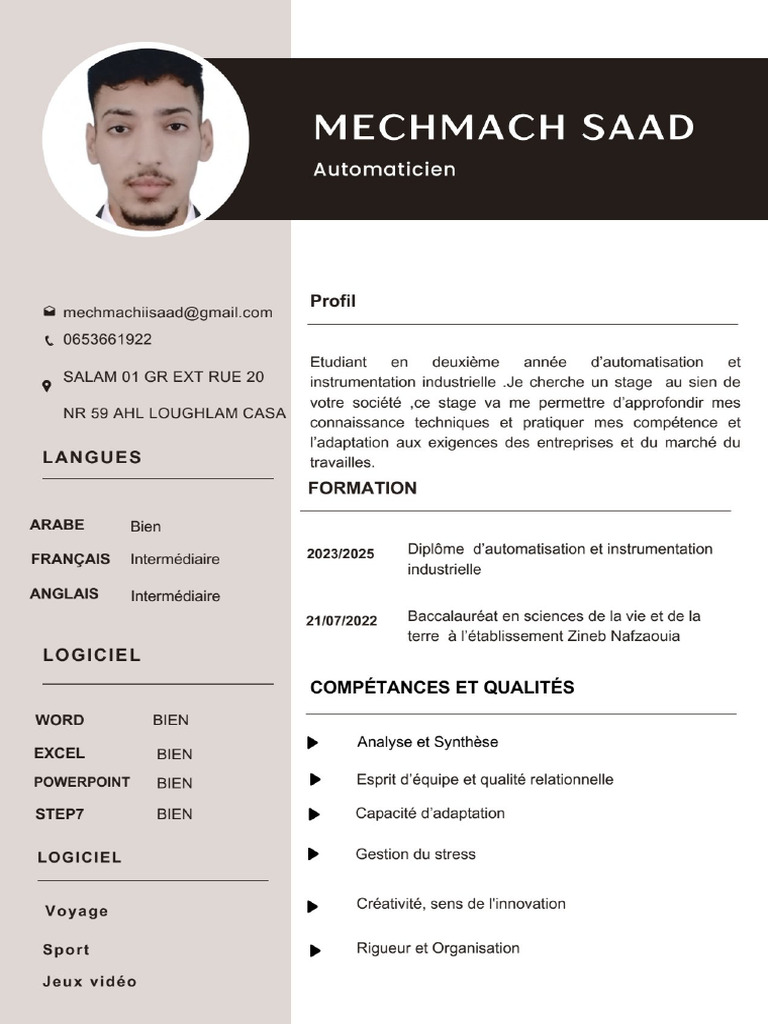 CV Pro | PDF