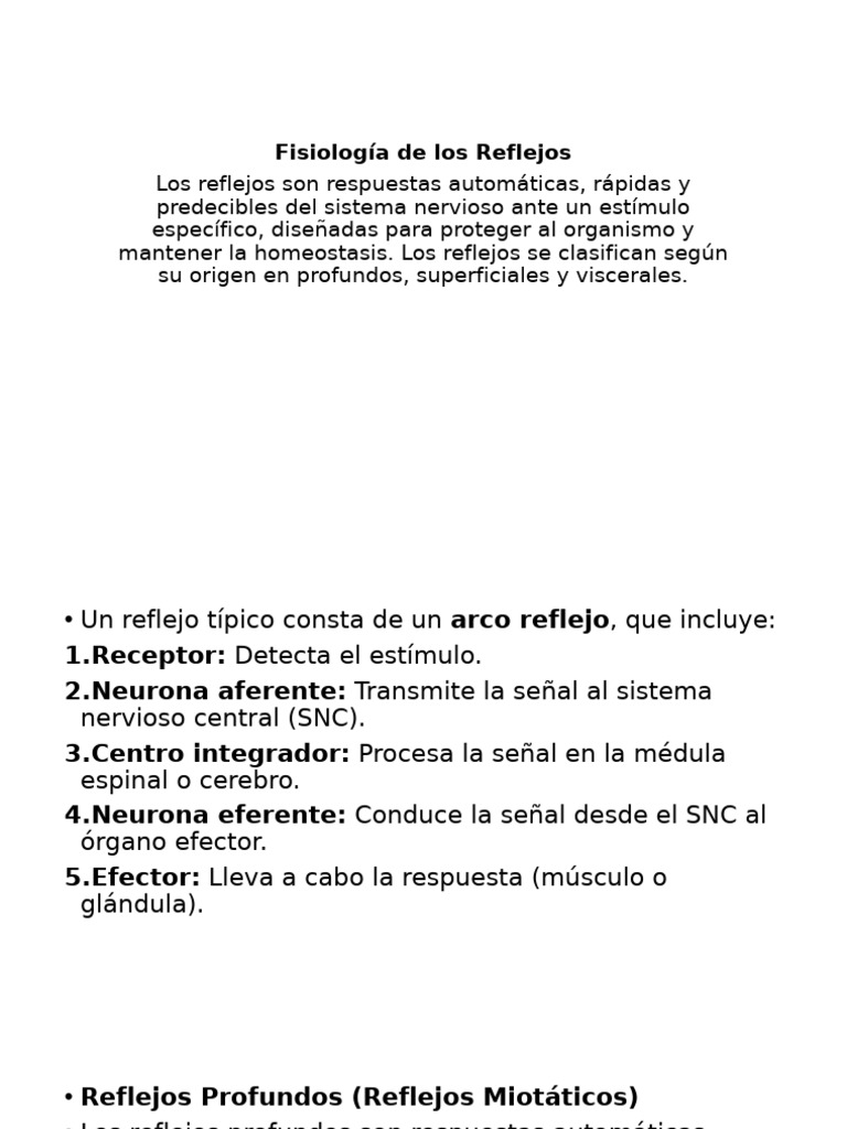 Reflejos Primera Practica de Fisiologia 11 2025 1 | PDF | Sistema nervioso | Neurona motora