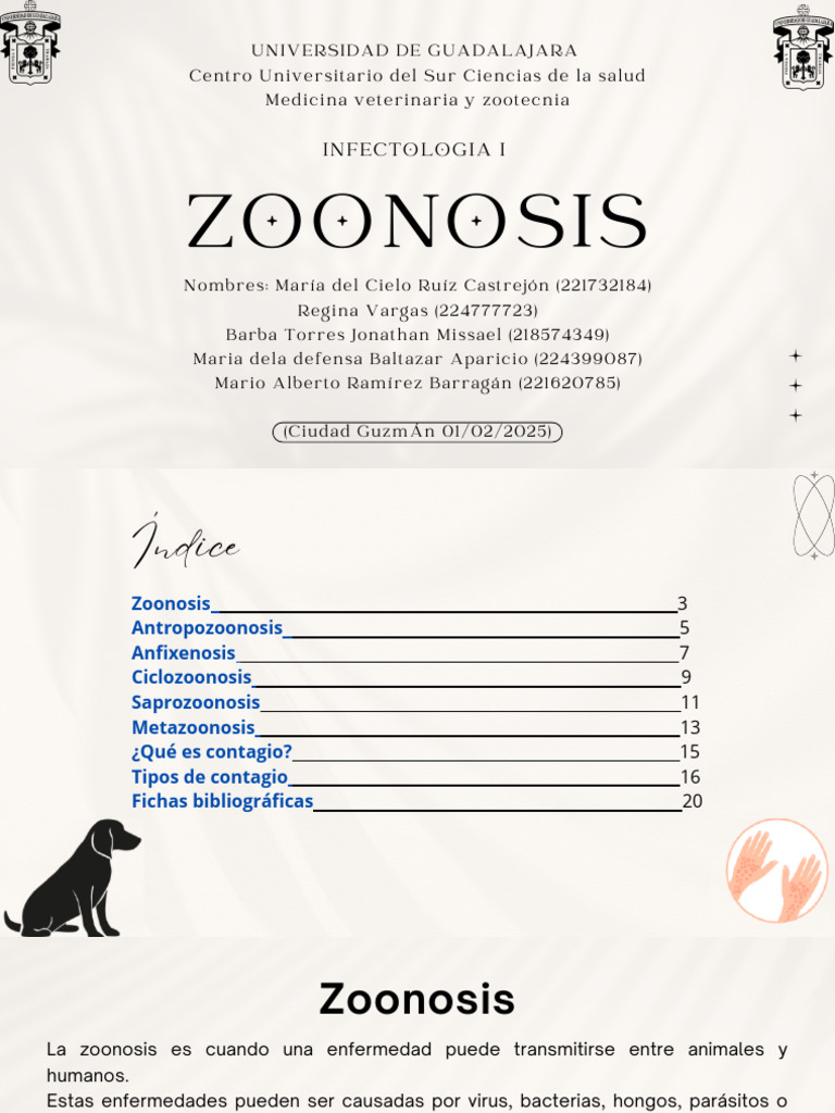 Tipos de Zoonosis y Ejemplos | PDF | Infección | Rabia