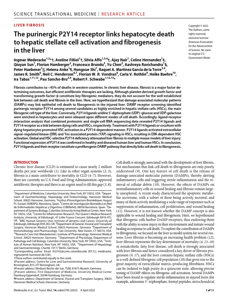 Stm2022-The Purinegic P2Y14 Receptor Links Hepatocyte Death To HSC ...