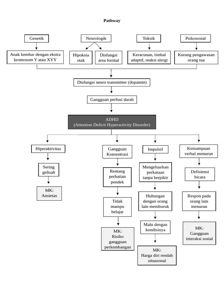 Pathway ADHD 3 | PDF