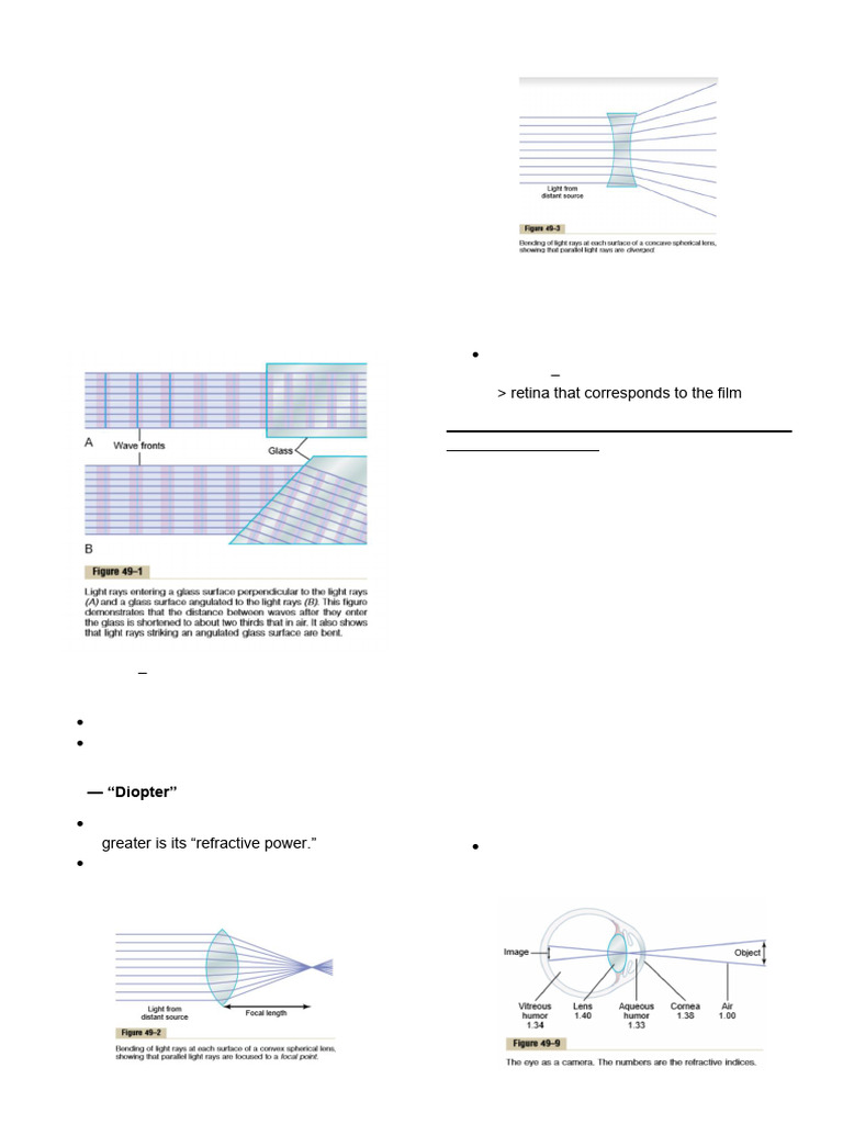 Vision | PDF | Retinal | Retina