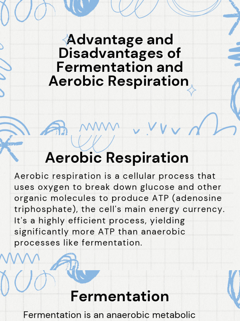 11 stem subject | PDF | Cellular Respiration | Fermentation