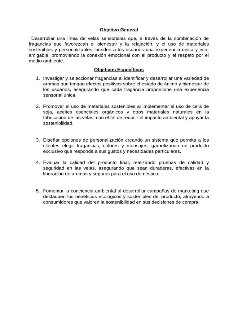 Objetivos Proyecto MKT | PDF