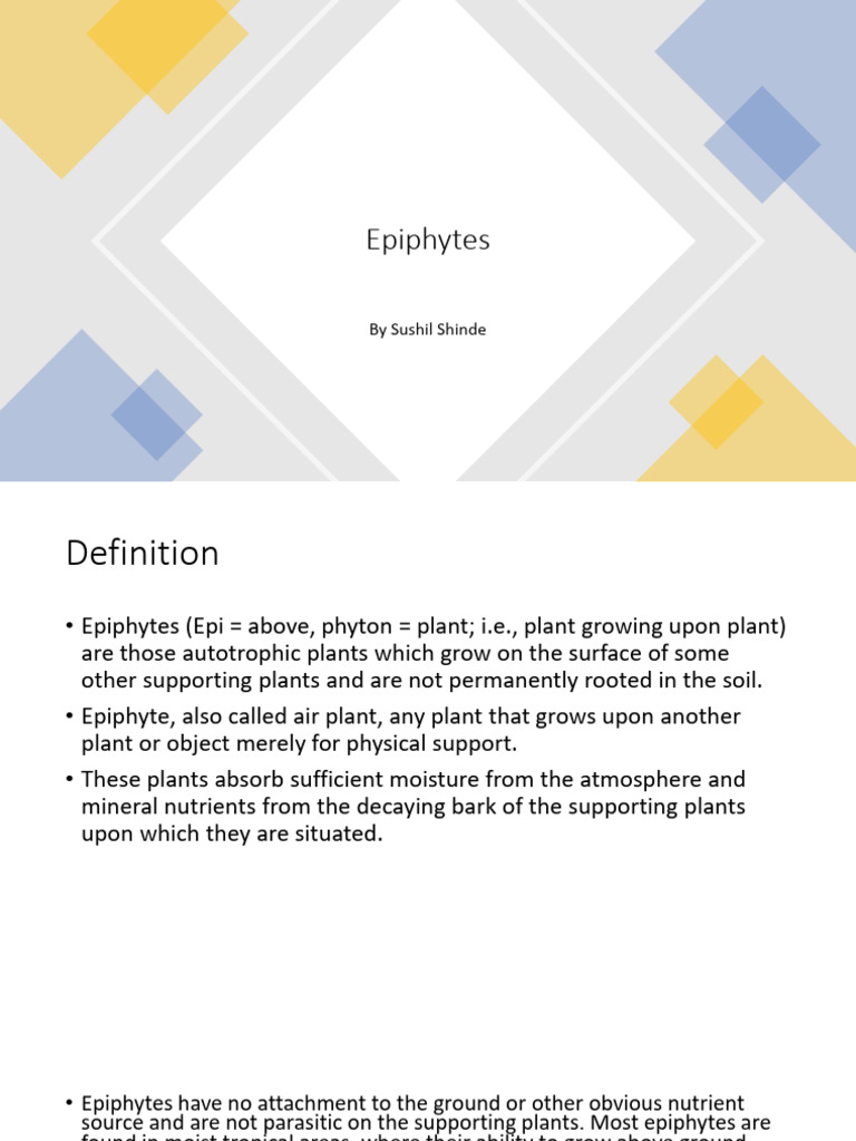 Epiphytes vs. Parasitic Plants Explained | PDF | Plants | Botany