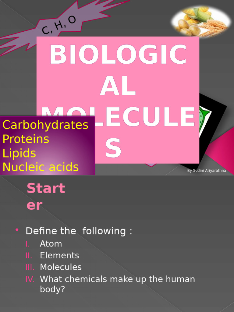 Biological Molecules | PDF | Carbohydrates | Glucose