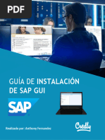 Guía de Instalación Sap Gui 8.00 Windows (Summa Center Latam) | PDF | Contraseña | Archivo de ...