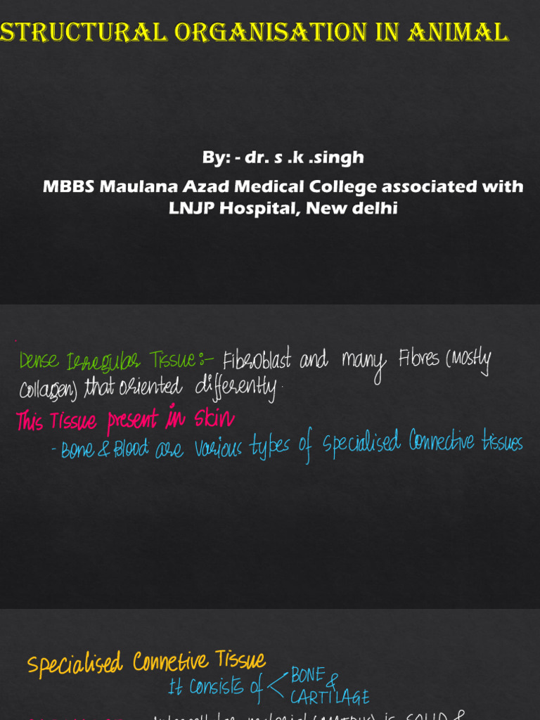 Chapter 7 Part 3 Structural Organisation in Animals | PDF