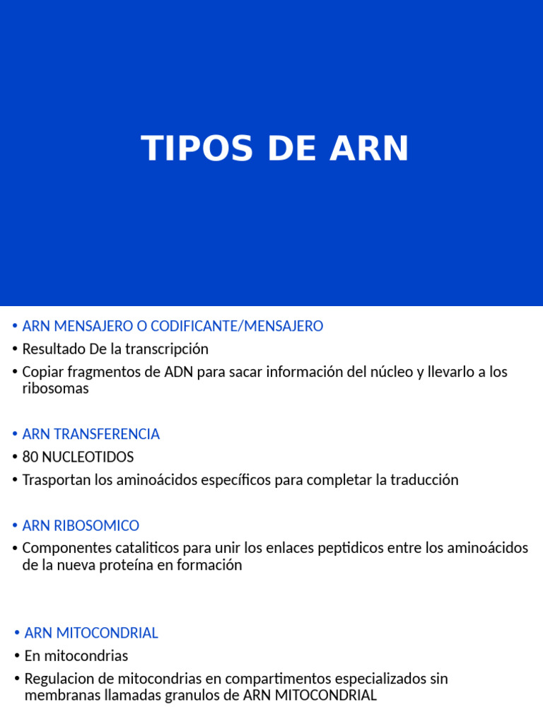 ARN y Sitesis-1 | PDF | Replicación De Adn | Rna